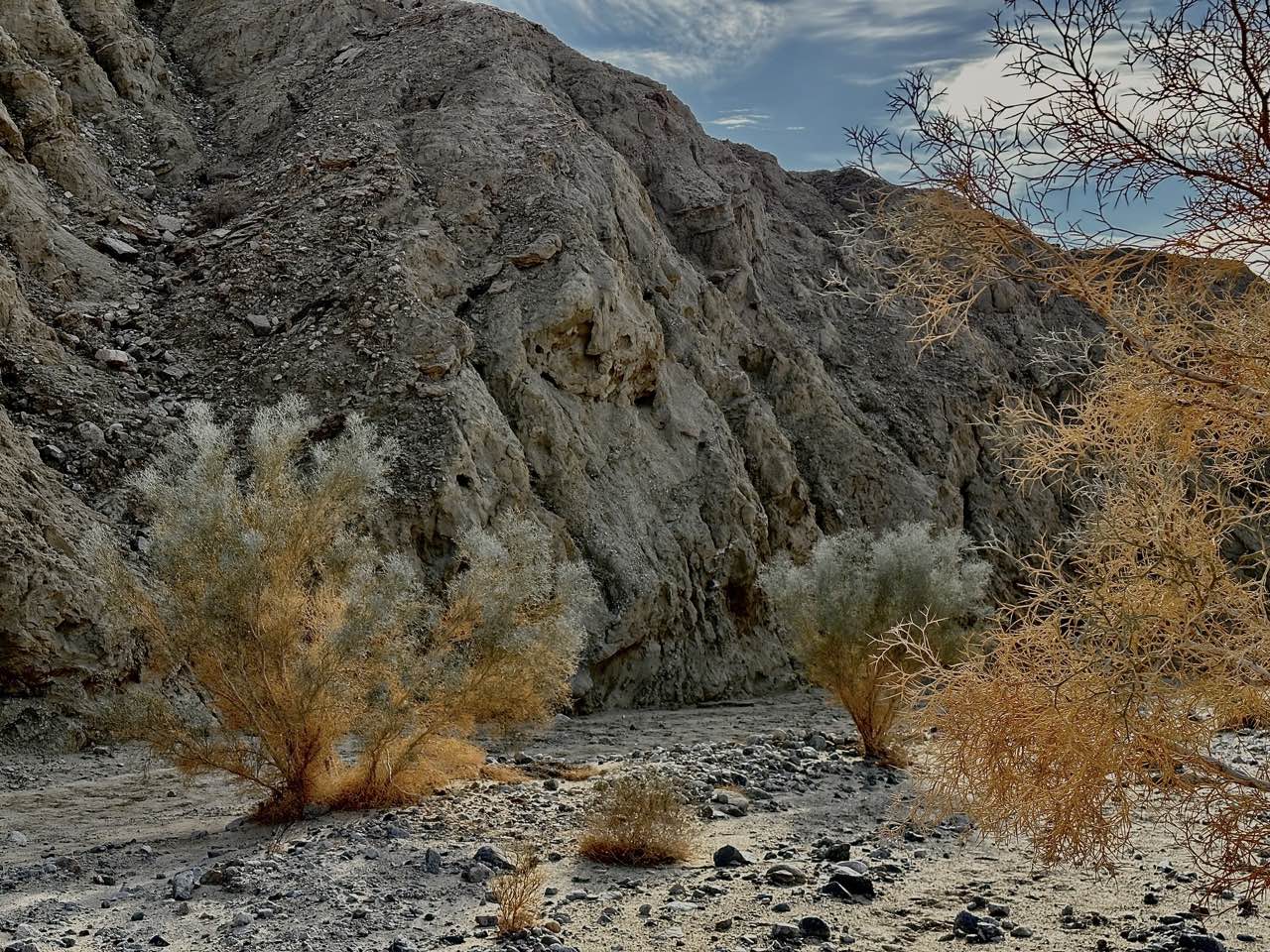 Desert Walk | Noah Buscher